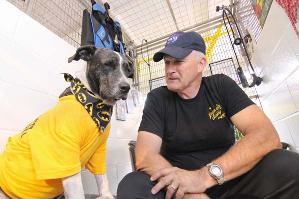 Maui Humane Society CEO resigns | News, Sports, Jobs - Maui News